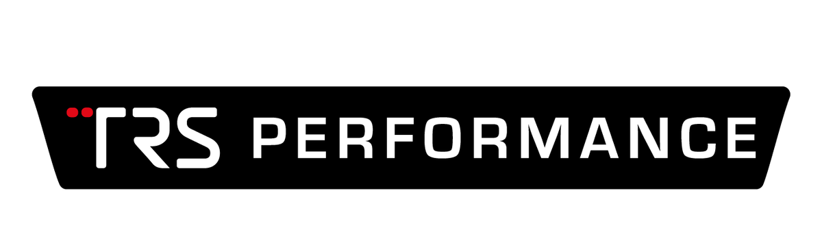 TRS Performance Mk8 Fiesta Airbag Light Cover Gel Badge – PrintPeel ...